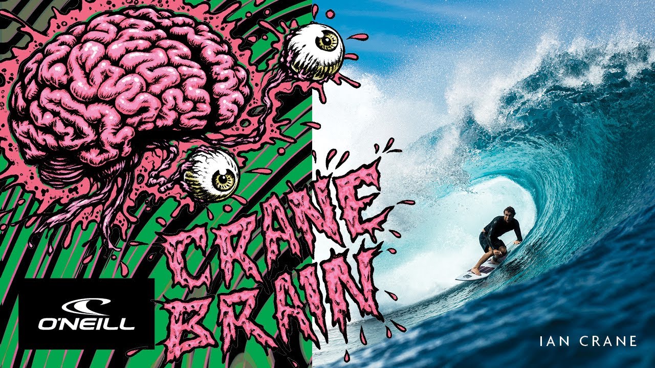 CRANE BRAIN - Flashsurfing Magazine